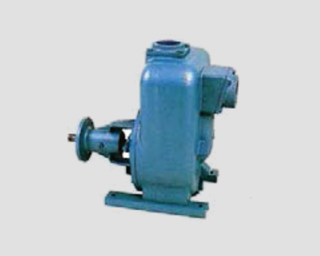 Divine Business Allied Corporation